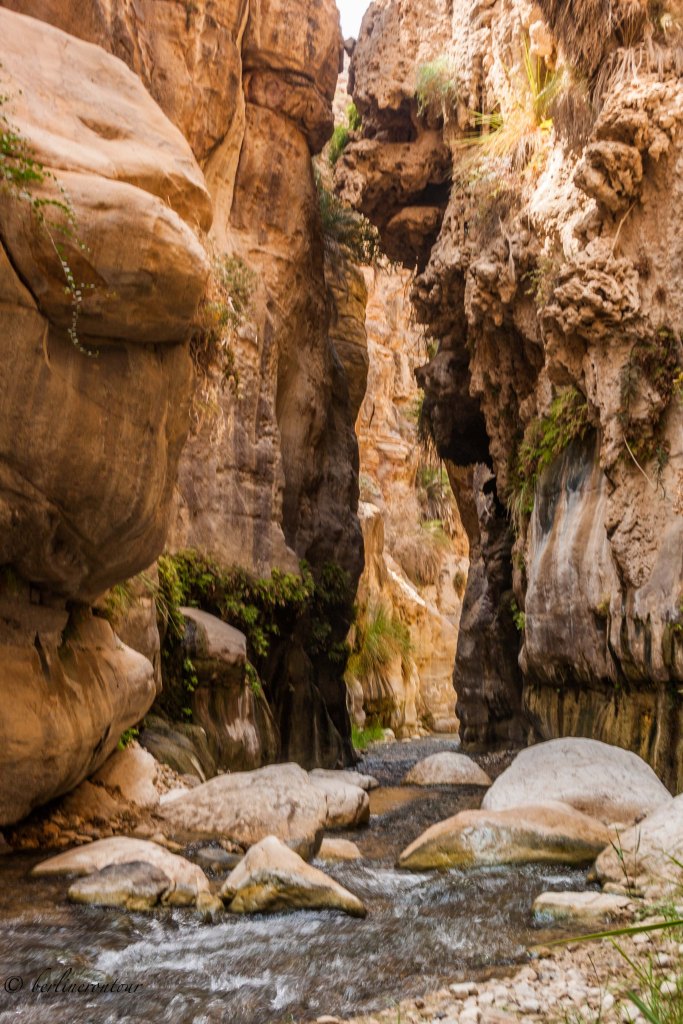 Geheimtipp Wadi Bin Hammad – berlinerontour